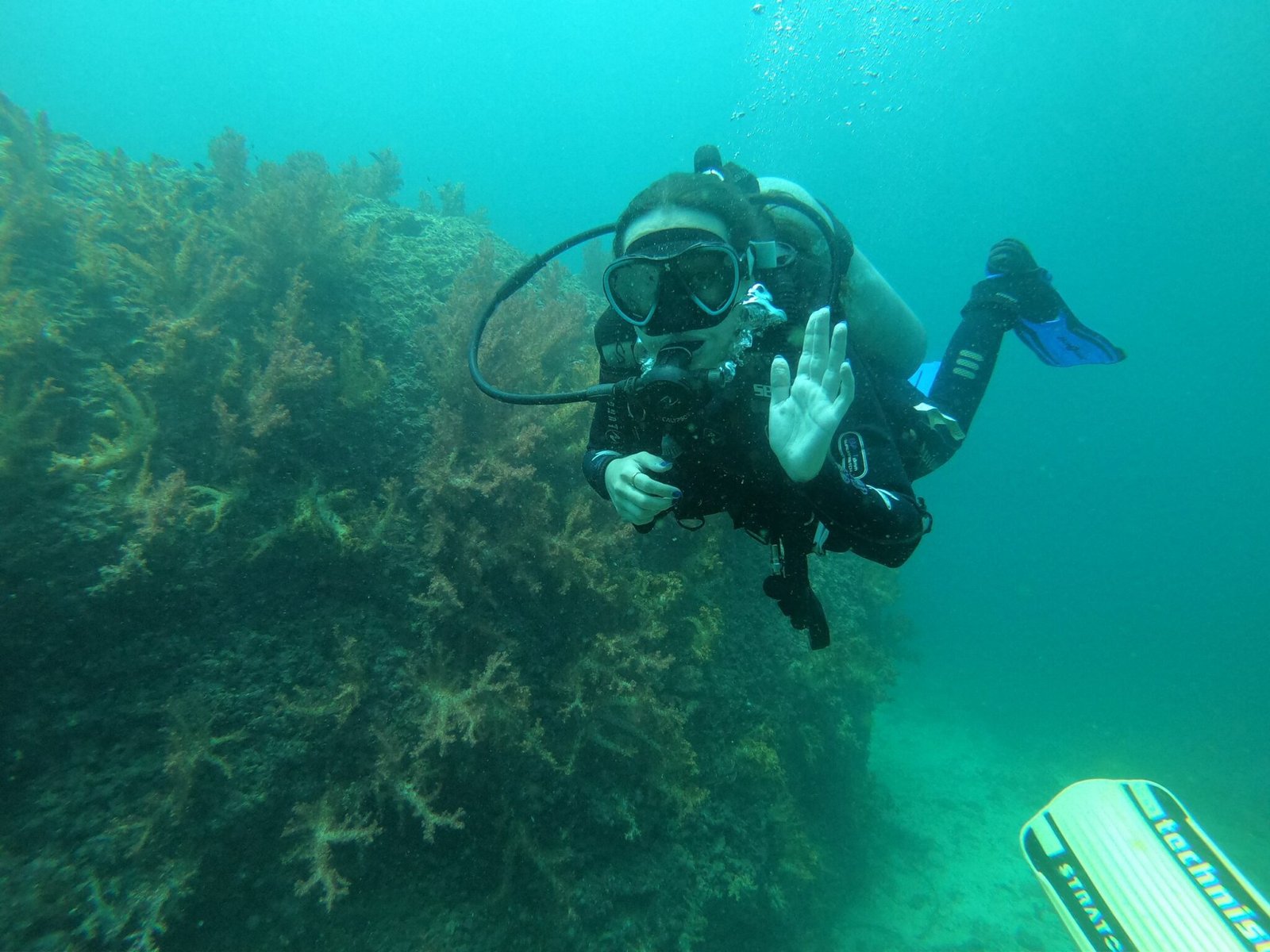 Daymaniyat Islands Scuba Diving Trip - Rabdan Tour Oman